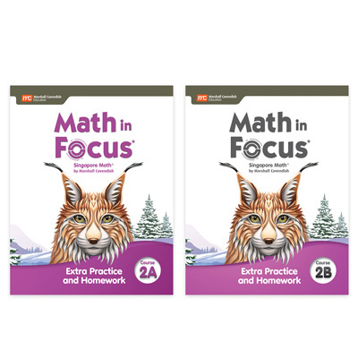 Math In Focus Extra Practice And Homework Set: 9780358116936 | HMH