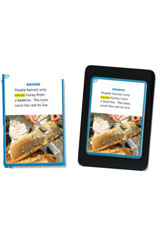 Journeys Vocabulary In Context Cards Grade 1: 9780547866604 | HMH